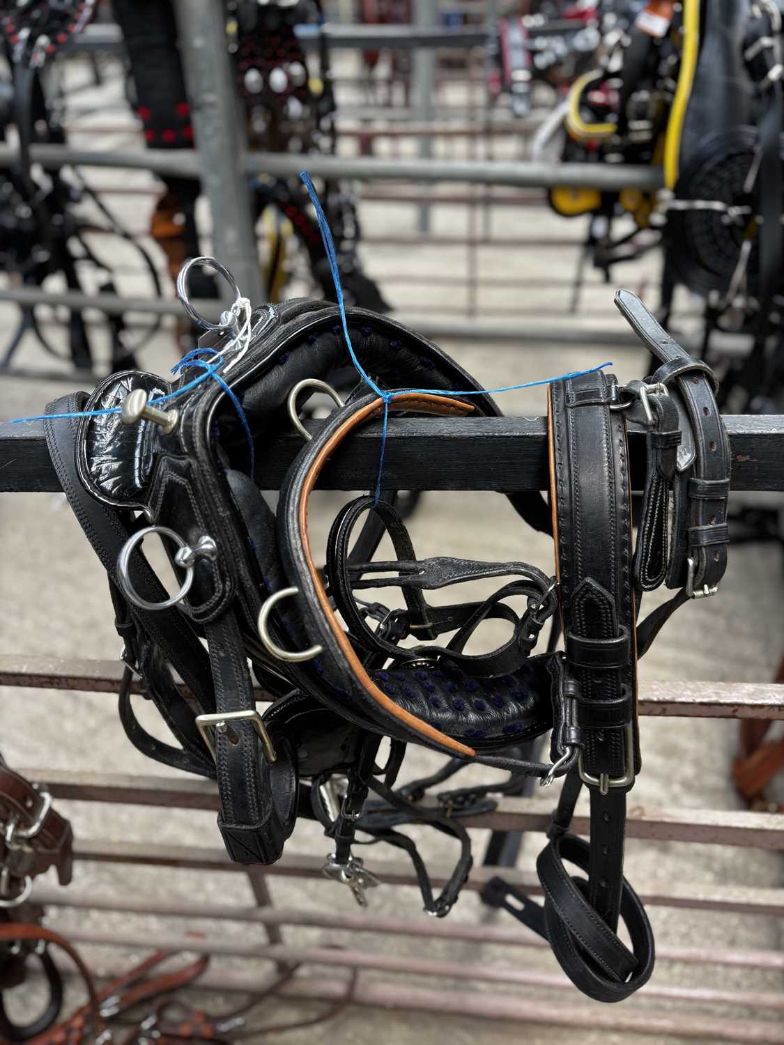 Lot 753 - Set of black and white metal harness to fit