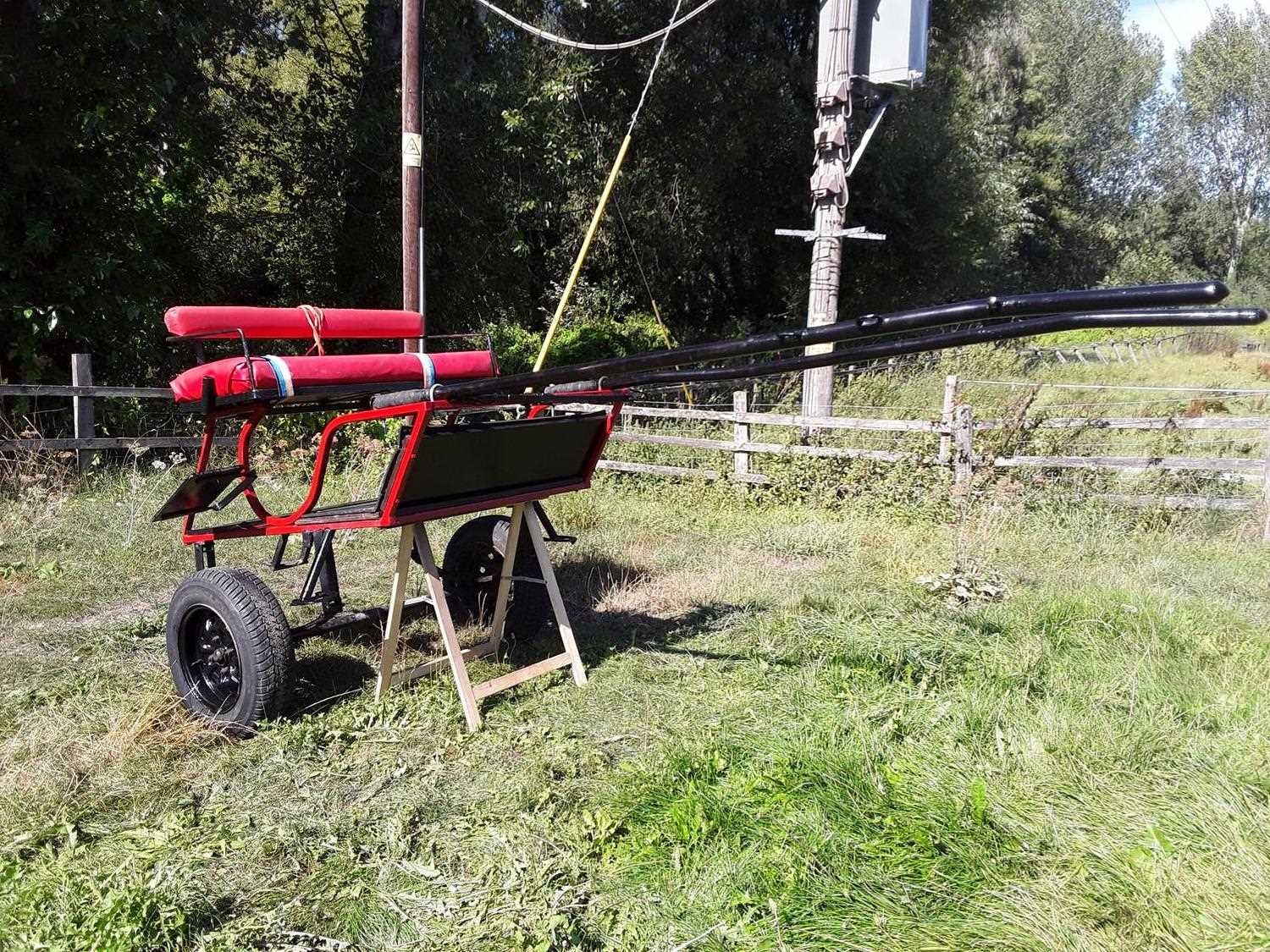 Lot 15 - EXERCISE CART